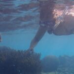 Snorkel marathon - What Makes This Tour Stand Out?