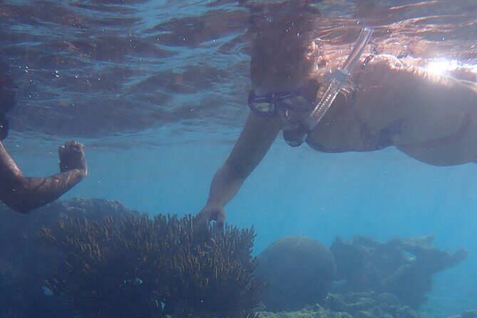 Snorkel marathon - What Makes This Tour Stand Out?