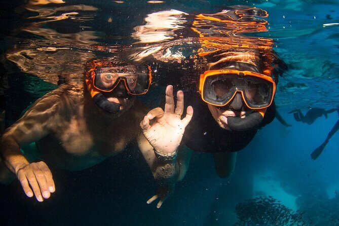 Snorkel Shore Trip with Scubaçao "East Point" - An In-Depth Look at the Tour Experience