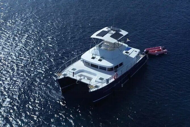 Snorkel Sunset Tour - Final Thoughts