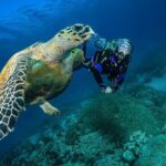 Snorkel, Swim & Snap-w/ Video - The Practical Aspects: What You Need to Know