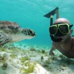 Snorkel Tour in Curacao - Who Will Love This Tour?