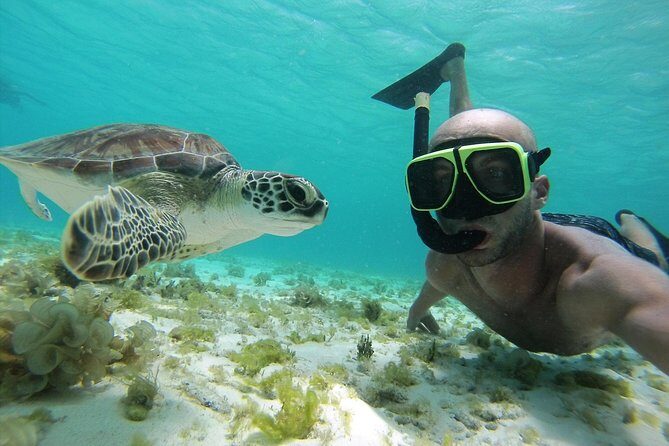 Snorkel Tour in Curacao - Who Will Love This Tour?