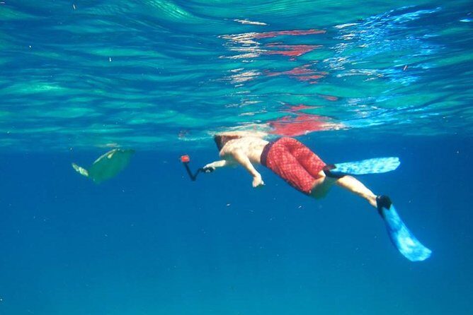 Snorkel Tour - An Overview of the Snorkel Tour in St. Thomas