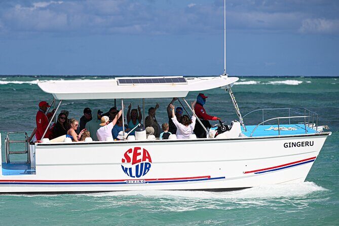 Snorkel trip + natural pool Bávaro - Analyzing the Value