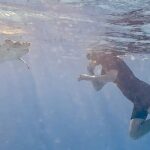 Snorkel with Turtles & see the Flamingos - Who Should Consider This Tour?