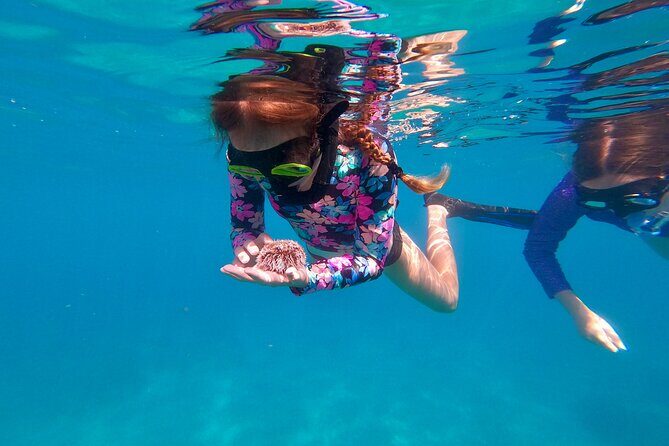 Snorkeling Aguadilla for Families with Children - The Itinerary and Highlights