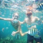 Snorkeling and Shopping in Montego Bay with Hotel pickup - The Experience at a Glance