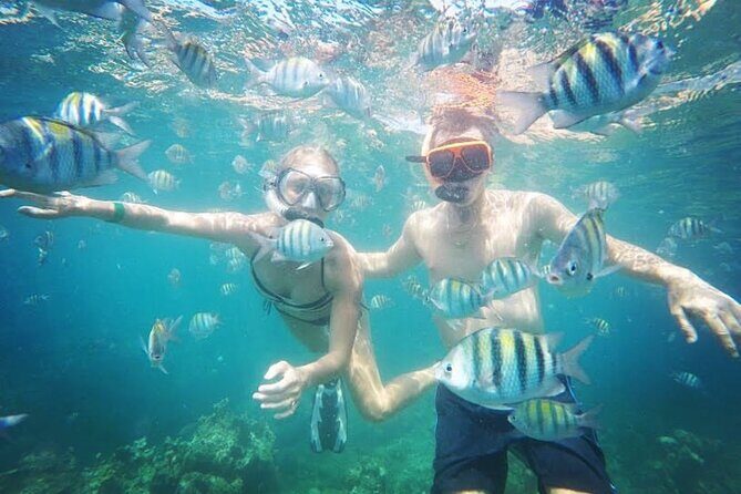 Snorkeling and Shopping in Montego Bay with Hotel pickup - The Experience at a Glance