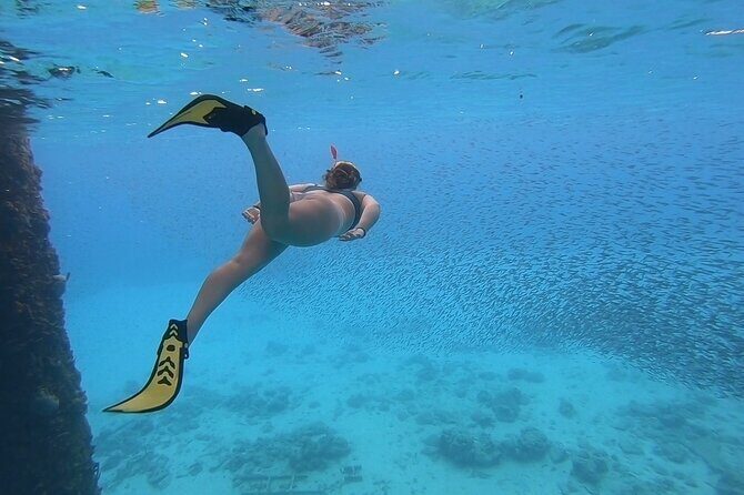 Snorkeling Gear Rental - What’s Included and How It Works