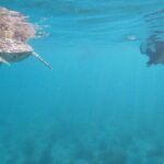 Snorkeling in Paradise - Videos Included - What the Tour Includes — A Closer Look