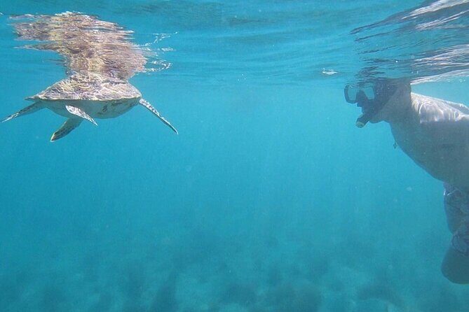 Snorkeling in Paradise - Videos Included - What the Tour Includes — A Closer Look