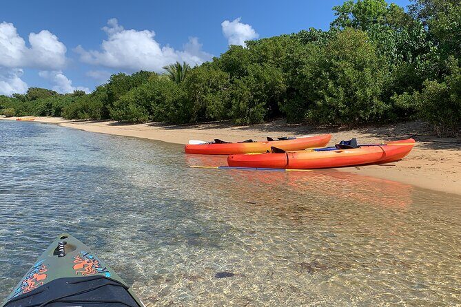 Snorkeling & Kayak Eco-Adventure in Puerto Rico - What the Reviews Say
