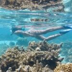 Snorkeling Paddle Private Catamaran 1/2 Day Turks and Caicos - Why This Tour Offers Good Value