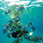 Snorkeling Tour & Sosua Beach Day - Snorkeling at Two Reefs: Three Rocks and Sosua Bay