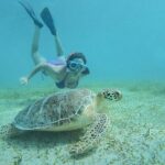 Snorkeling Tour to Vieques Island only 30 minutes away! - The Reviews: Authentic Voices
