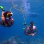 Snuba Adventure at Coral World Ocean Park - Authentic Feedback from Travelers