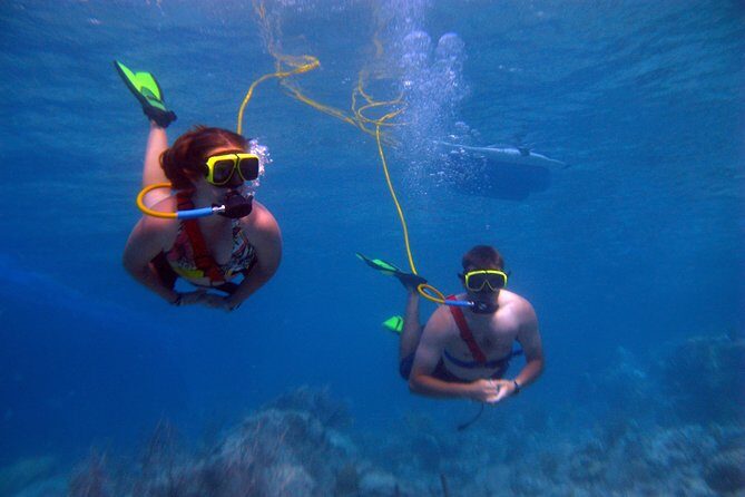 Snuba Adventure at Coral World Ocean Park - Authentic Feedback from Travelers