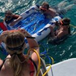 Snuba Adventure at Emerald Reef - Who Should Consider This Tour?