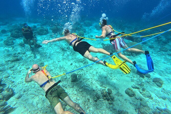 SNUBA Adventure in Curacao - Guided Shallow Dive - The Value of the Tour