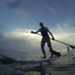 Sosua 2-Hour Stand Up Paddle Boarding - Who Will Love This Experience?