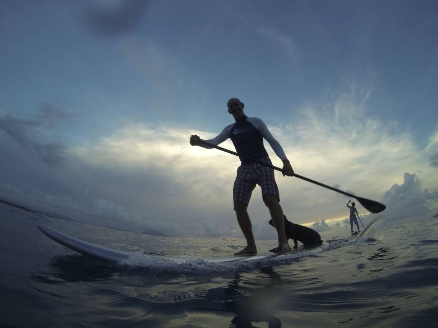 Sosua 2-Hour Stand Up Paddle Boarding - Who Will Love This Experience?