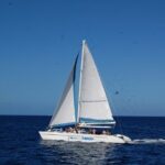 Soufriere to Rodney Bay Catamaran Transfer - Final Verdict
