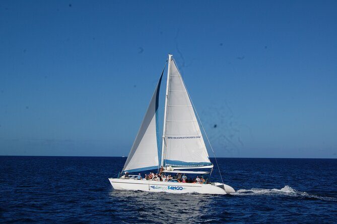 Soufriere to Rodney Bay Catamaran Transfer - Final Verdict