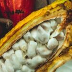 Soufriere vibes Tour ( pick up Rodney bay,St.Lucia) - What You’ll Love About This Tour