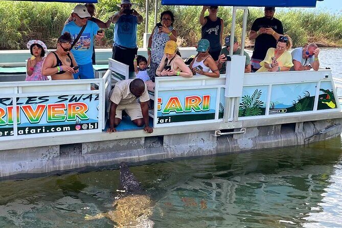 South Coast Tour to YS Falls, Black River Safari and Appleton Rum - What Travelers Say & Practical Tips