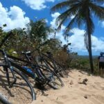 South East Sunrise (or later) E-Bike Tour - Who Will Love This Tour?