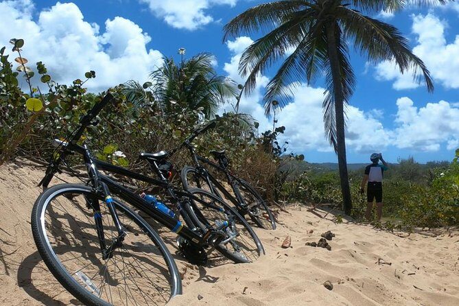 South East Sunrise (or later) E-Bike Tour - Who Will Love This Tour?