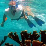 South island tour and Snorkel combo - Who Will Love This Tour?