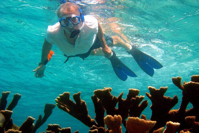 South island tour and Snorkel combo - Who Will Love This Tour?