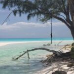 South Long Island 3 Hour Guided Land Tour - What You Can Expect from the Tour