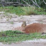 Spanish Lagoon Mangrove Trail & Bird Watching - What’s Included and Whats Not