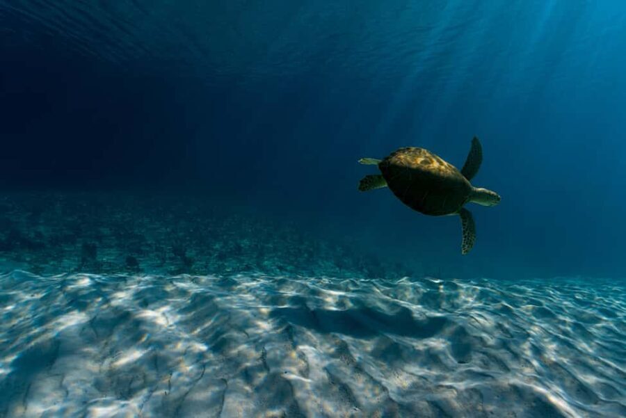 Spanish Wells, Harbour Island, Eleuthera: Private Charters - The Itinerary, Step-by-Step