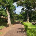 St. George's: Half-day spice and waterfall tour - Transportation and Group Size