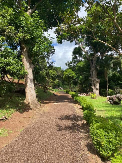 St. George's: Half-day spice and waterfall tour - Transportation and Group Size