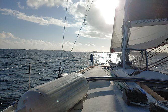 St John & Surrounding Cays - Full-Day Sail/Snorkel, 6 Guests Max - The Snorkeling and Marine Encounters