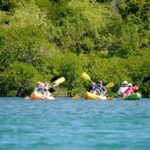 St. John's, Antigua Kayak, Snorkeling, & Beach Bird Island - Snorkeling at Bird Island: Underwater Wonders