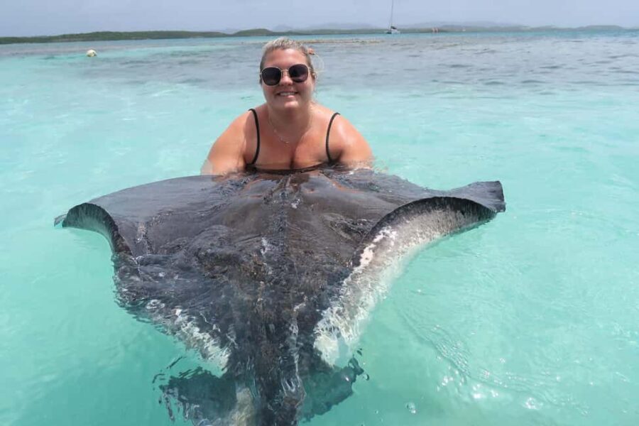 St. John's; Combo Laviscount Island & Swimming with Stingray - Authentic Experiences and Traveler Feedback