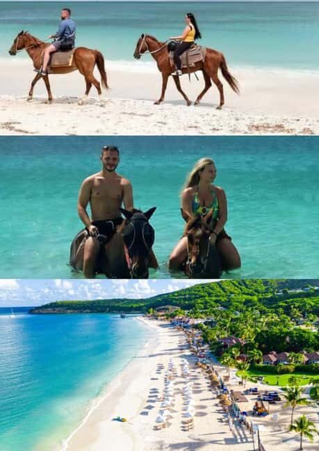 St. Johns: Horseback Riding Bareback Swim, &Fort James Beach - What You Can Expect