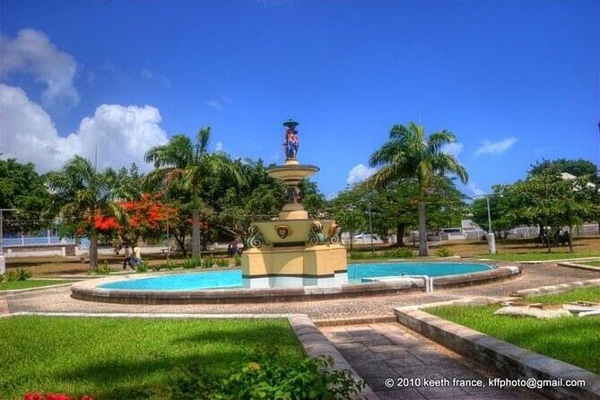 St. Kitts Full Island Excursion - What to Expect from the Experience