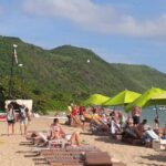 St Kitts Plantation and Beach Tour - Price and Value
