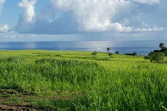 St Kitts Rainforest Nature Tour - Final Thoughts