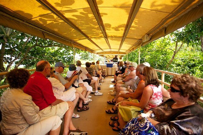 St Kitts Scenic Train Tour (Hotel or Ship) - Pricing and Value