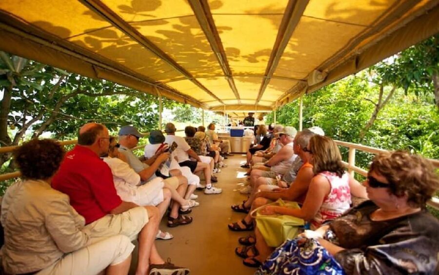 St.Kitts Sugar Train Tour with Pick Up & Drop-Off From Port. - What You Can Expect on the Day