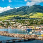 St. Kitts: Top Sights Guided Van or Open-Air Safari Tour - Who Will Love This Tour?