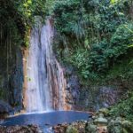 St. Lucia Botanical Gardens and Waterfall Tour Groups only - Reliability and Review Highlights